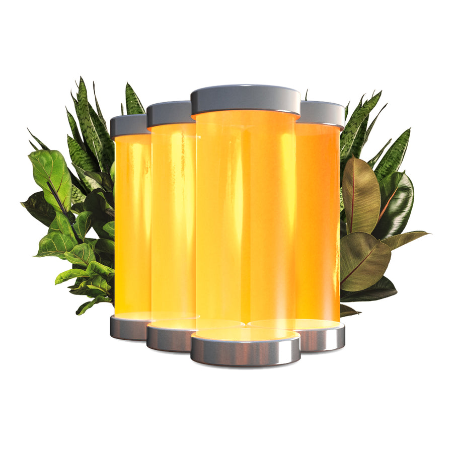 Umi Luminescent Lantern – UbiQD Shop