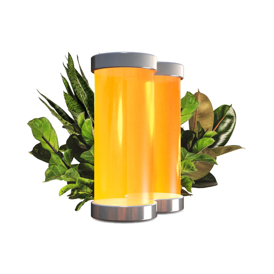 Umi Luminescent Lantern – UbiQD Shop